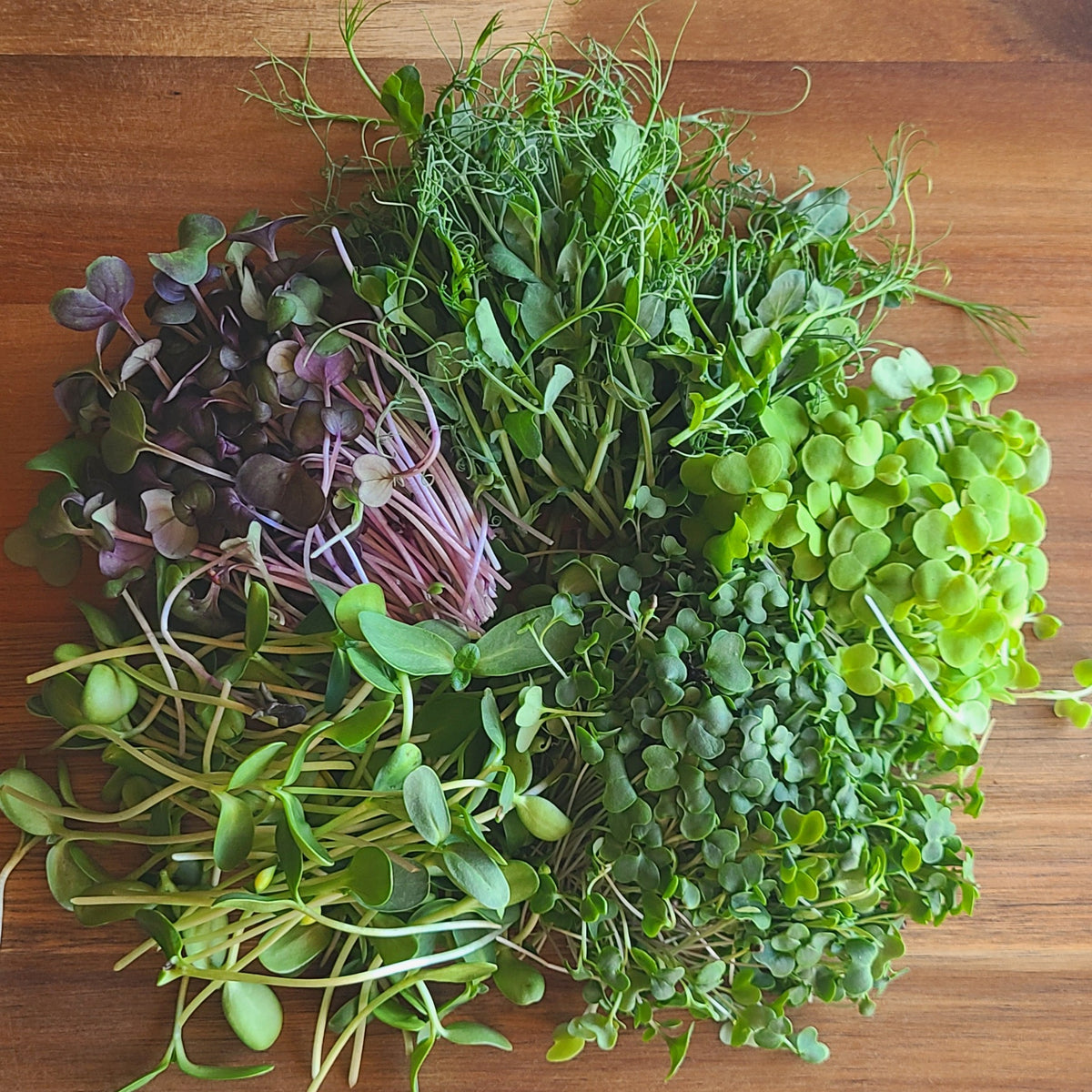 Micros on Sale - 4 oz clamshell (Farmer's choice) – Dixie Acres Farm