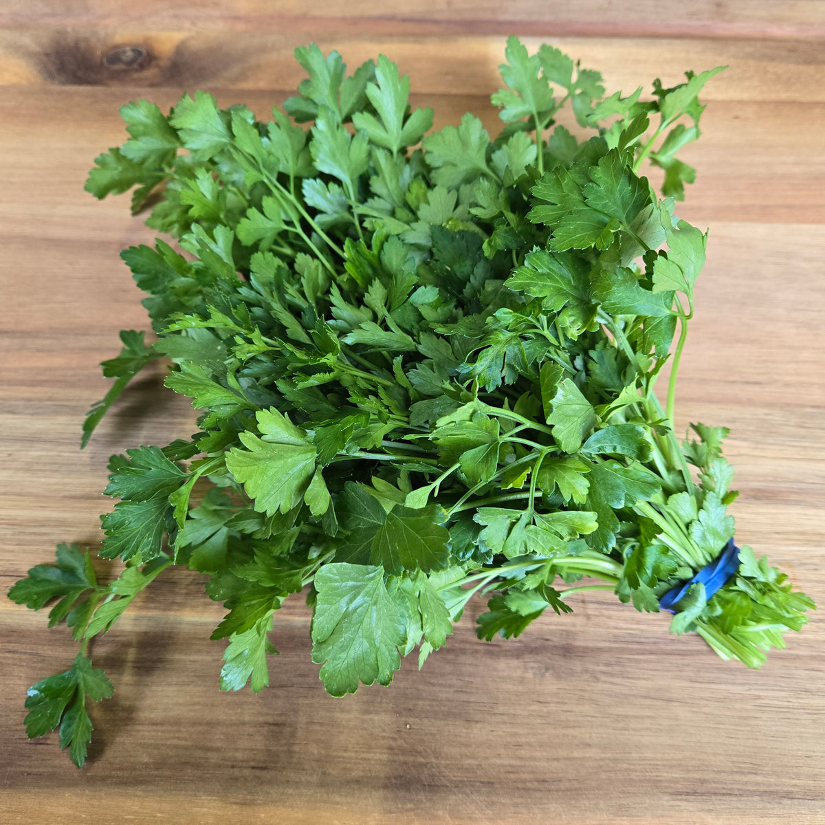 Italian Parsley – Dixie Acres Farm